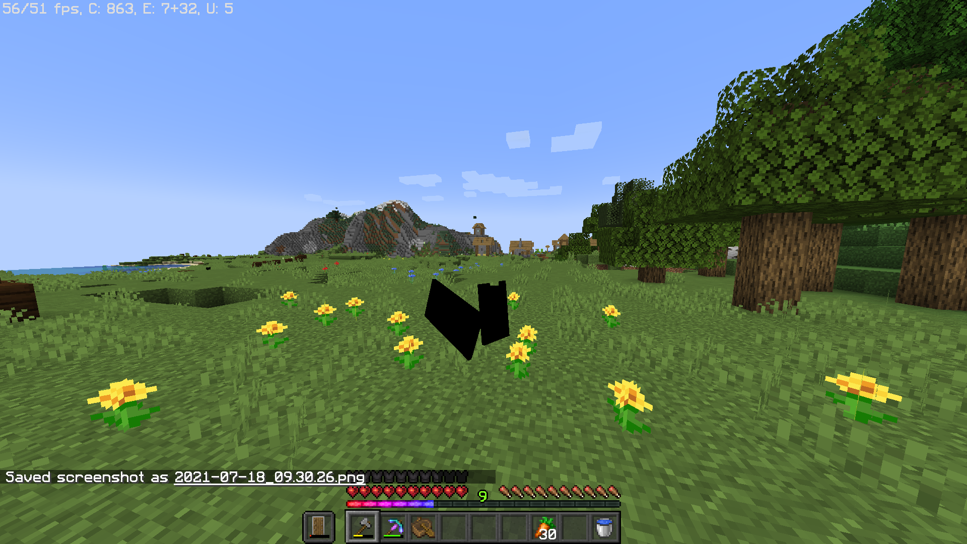 [Graphical glitch] Flickering items and entities. · Issue #6056 ...