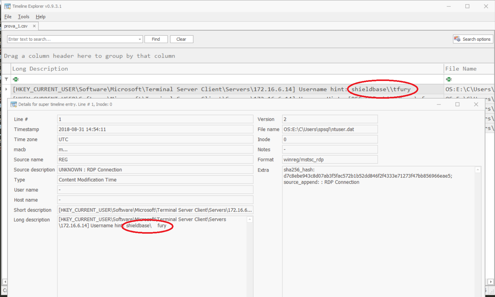 [Timeline explorer v0.9.3.1] '\t' tab character misinterpreted in event ...