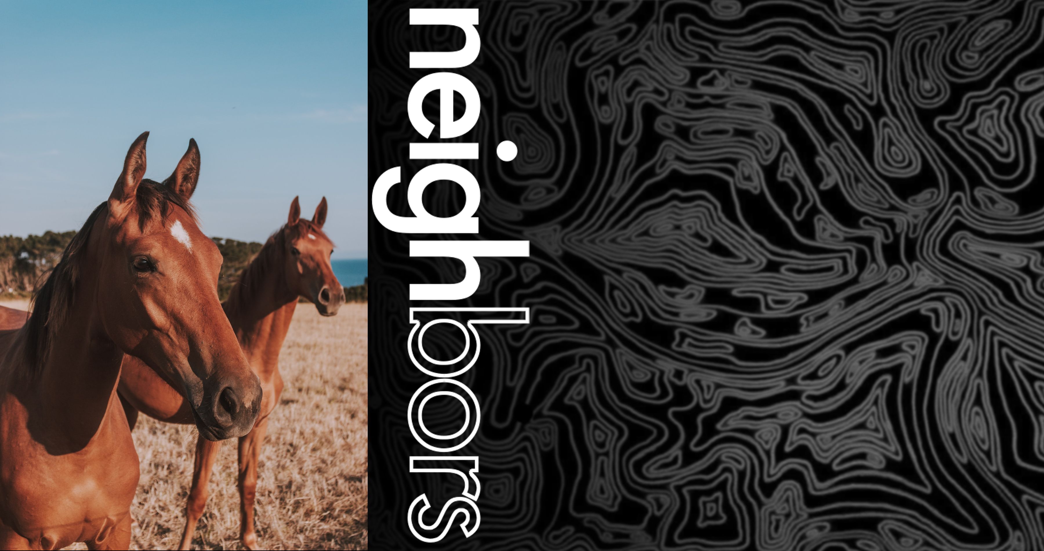 GitHub - chloell5/neigh-bors-fe