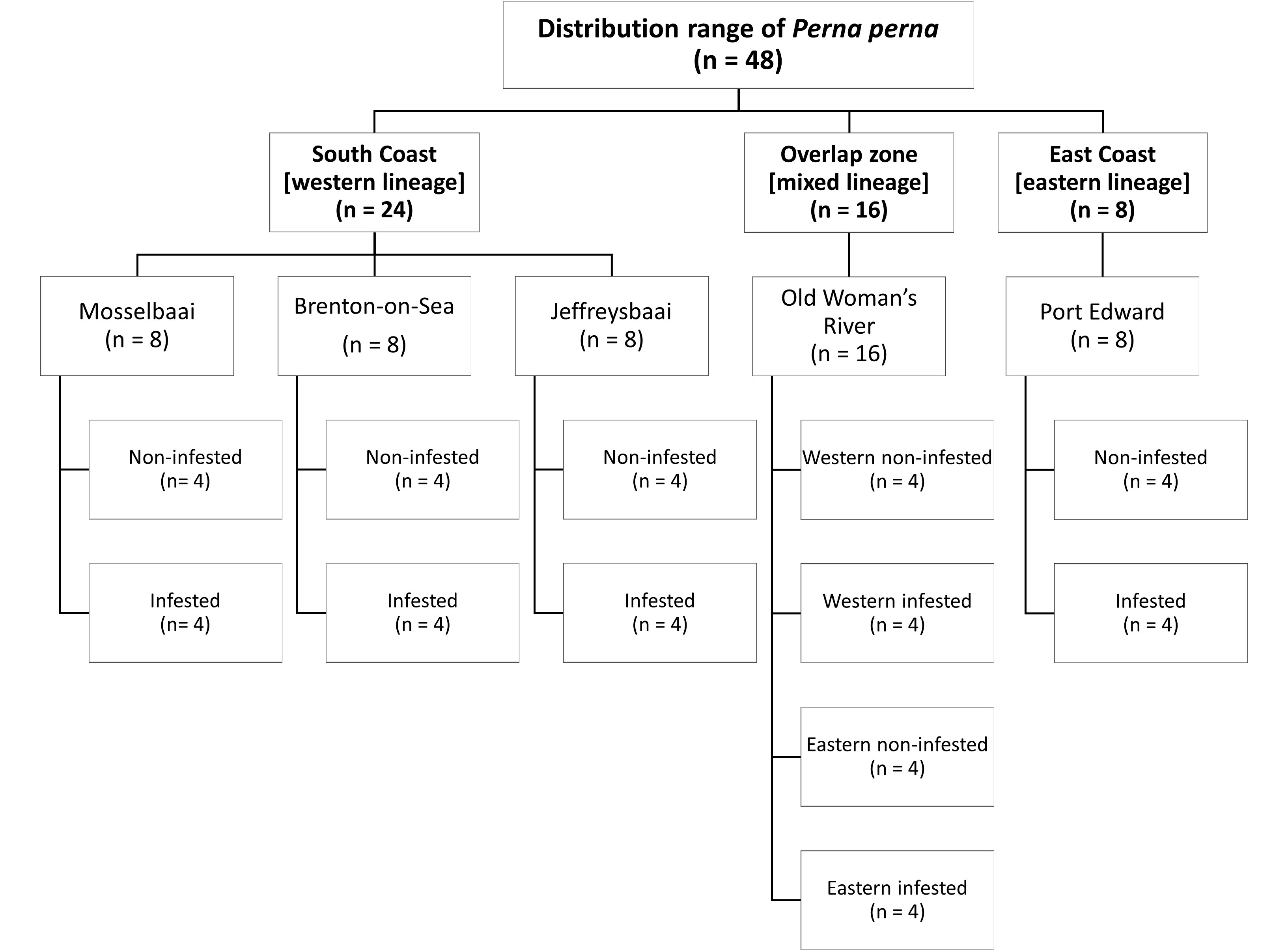 GitHub - AlexiaDievart/endolith_infauna: R scripts and datasets to test ...