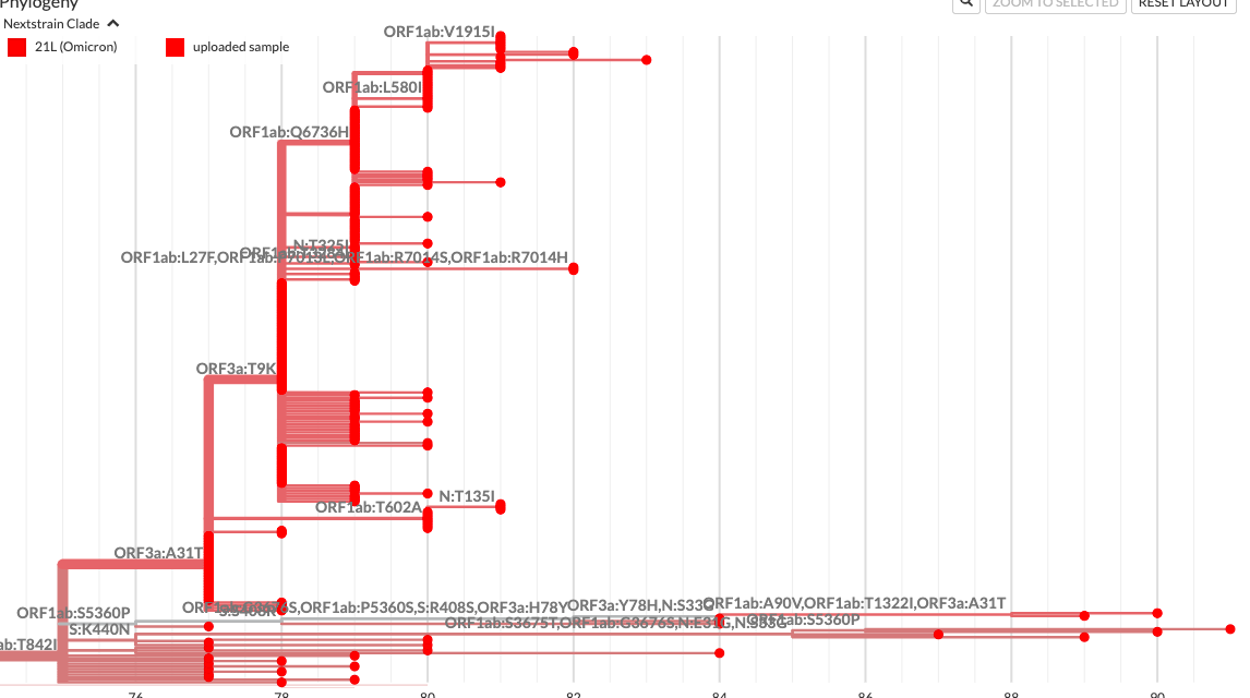 New sublineage of BA.2 with Orf3a:A31T, Nuc:T21048C and then Orf3a:T9K (2000+ sequences mainly ...