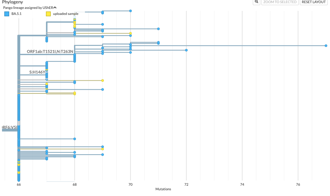 BA.5.1 sublineage with Orf6:V5I growing in Europe (152 sequences ...