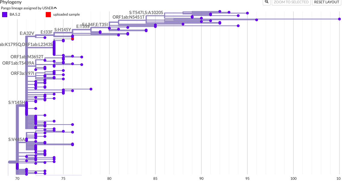 BA.5.2 + orf1b:T1050N sublineage with S:Y145H - 217 Sequences · Issue ...