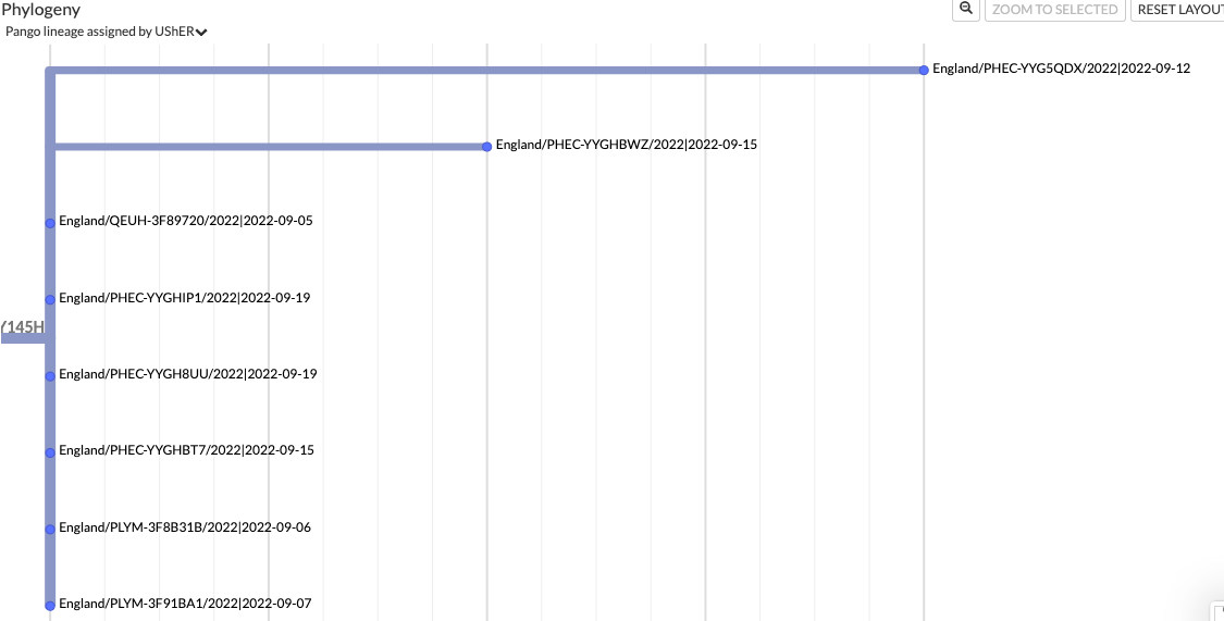 BA.5.2.18 (S:444R) sublineage with S:Y145H emerged in England - 14 Seqs · Issue #1128 · cov ...