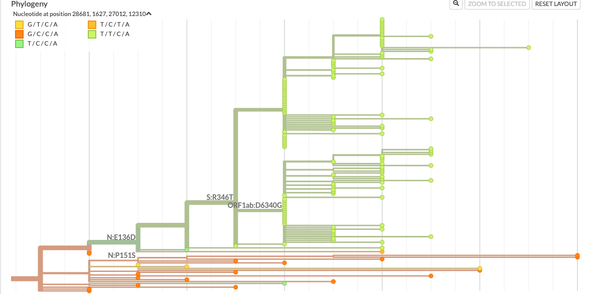 Sublineage of BA.5.2.16 with S:Y144del, S:K444M, S:N460K (7 seq ...