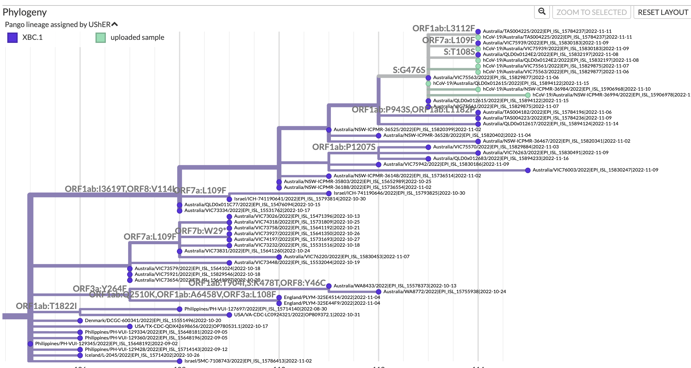XBC.1 sublineage with S:G476S circulating in Australia (8 sequences - 4 ...