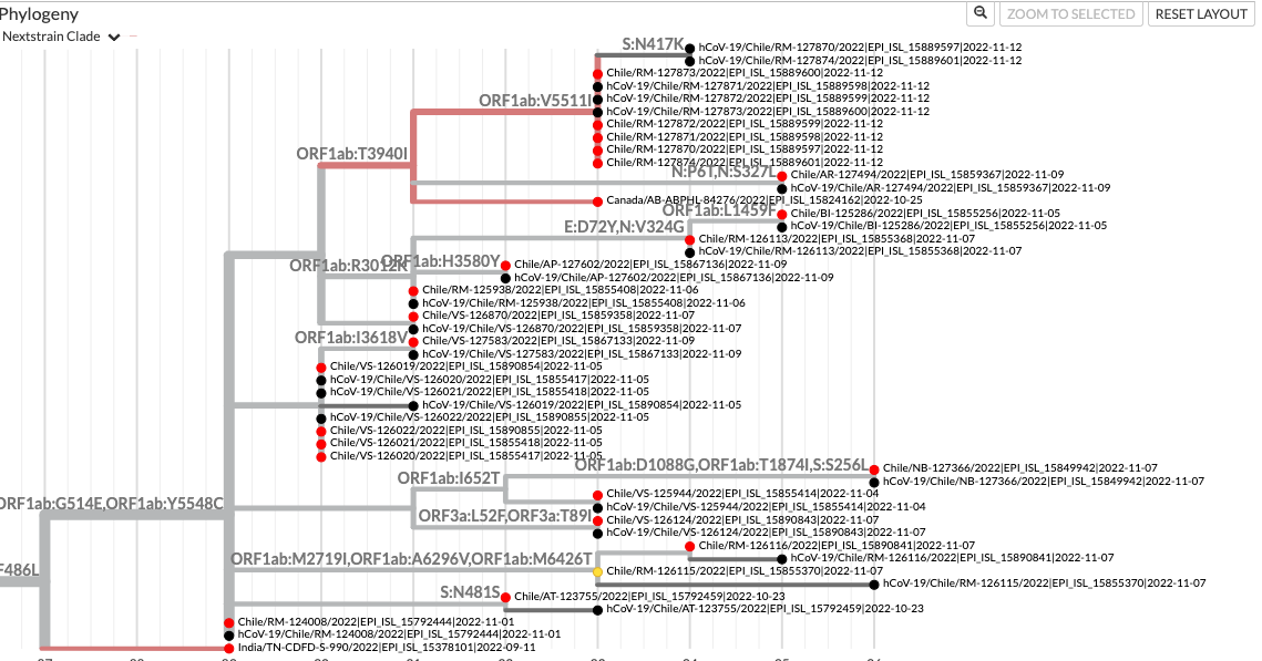 New BM.1.1.3 sublineage with S:F486P + ORF1a:G514E , ORF1b:Y1147C circulating in Chile and Usa ...