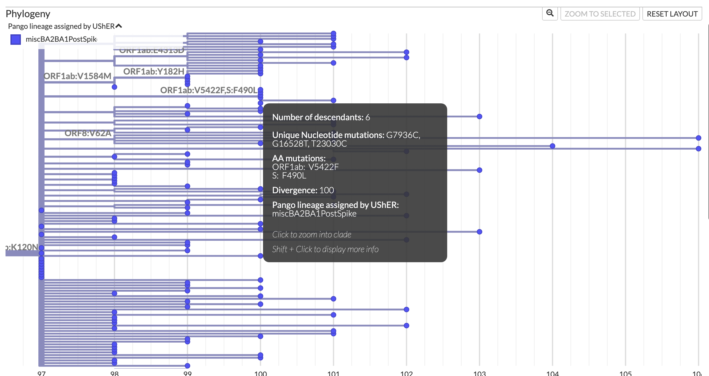 XBF (S:F486P) with S:F490P and Orf1b:V1021F - 34 sequences Australia, Denmark, Usa, France, New ...