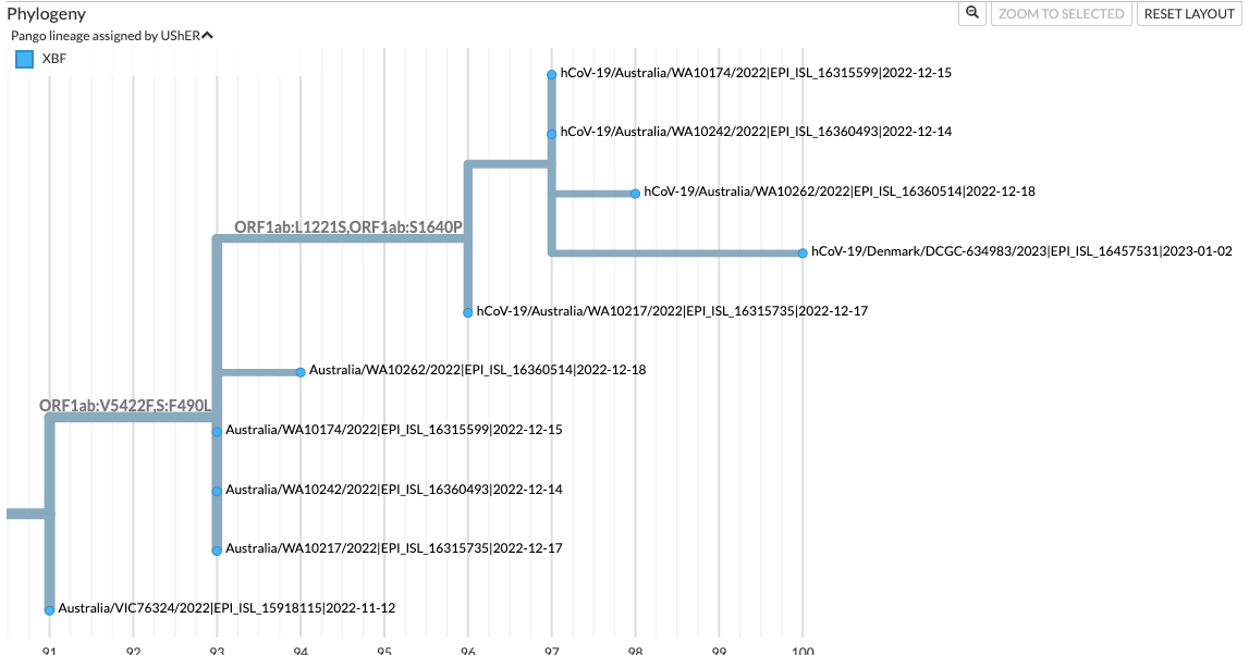 XBF (S:F486P) with S:F490P and Orf1b:V1021F - 34 sequences Australia, Denmark, Usa, France, New ...