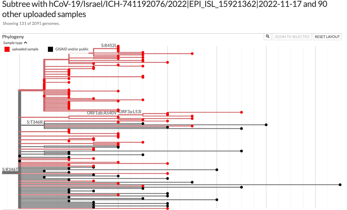 BQ.1.1 + T1453C sublineage with insertion at S:247/248: for Gisaid ...