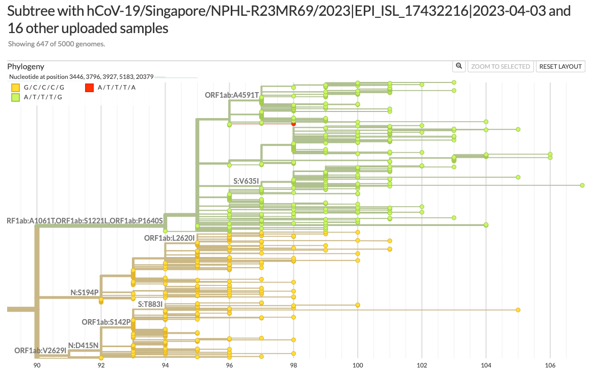 XBB.1*/BA.2.75*/XBB.1* recombinant with S:F486P (8 seq, Malaysia) · Issue #1532 · cov-lineages ...