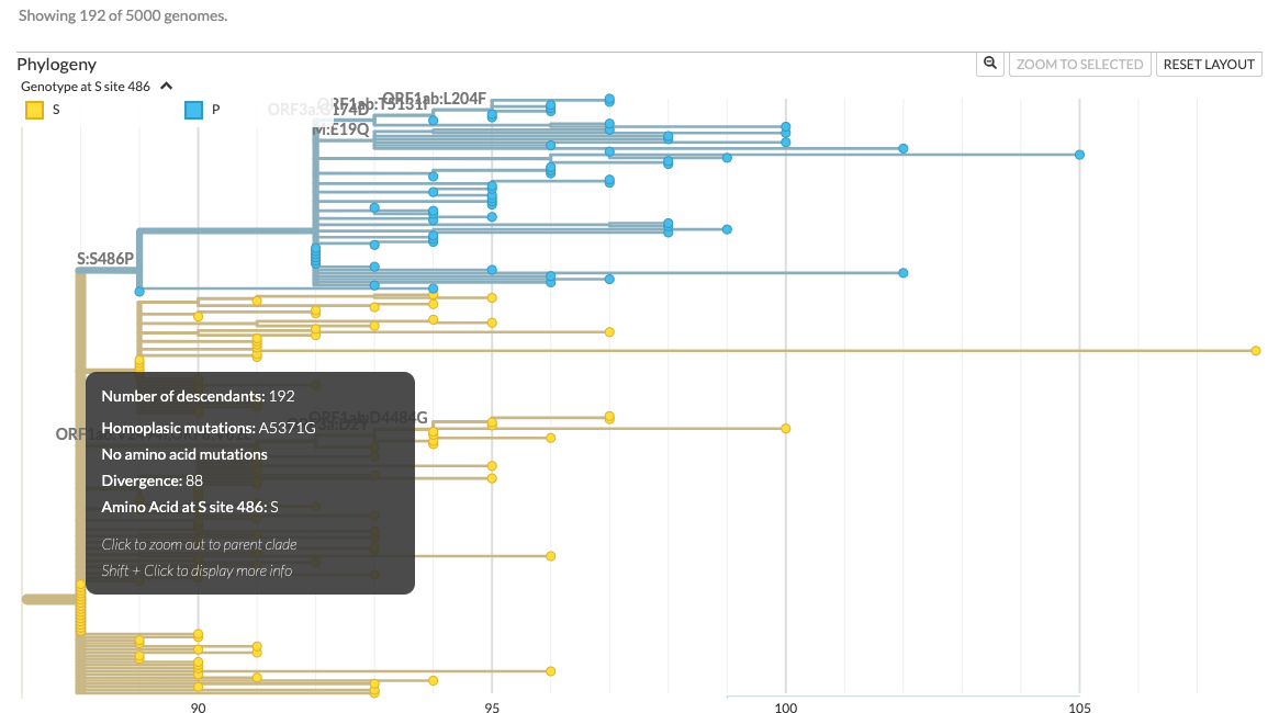 NEW XBB.1 + Orf8:G8* sublineage with S:F486P emerged in Russia 104 sequences · Issue #1929 · cov ...