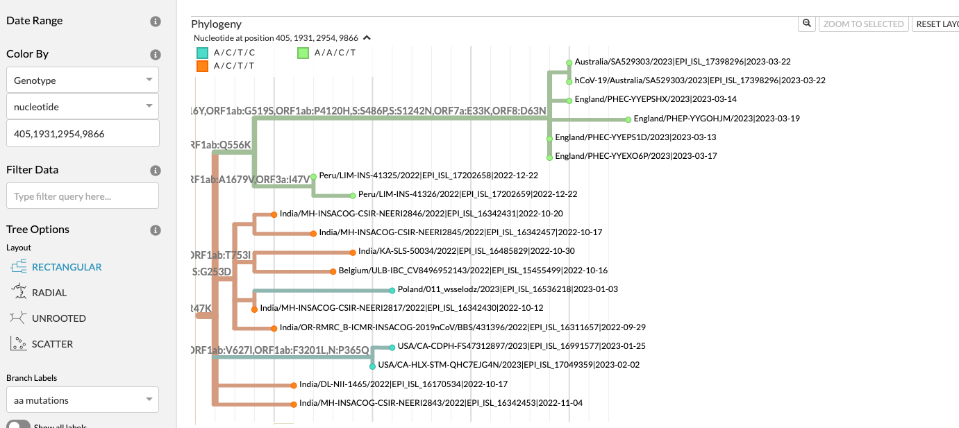 XBB.2 Saltation/BQ.1.1.7 Recombinant with S:S486P, S:S1242N, ORF7a: E33K, ORF8:D63N, + 6 ORF1a ...