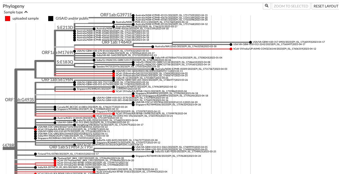 Multiple XBB.2.3 sublineages with S:T478R (A Umbrella*= 72, D=XBB.2.3. ...