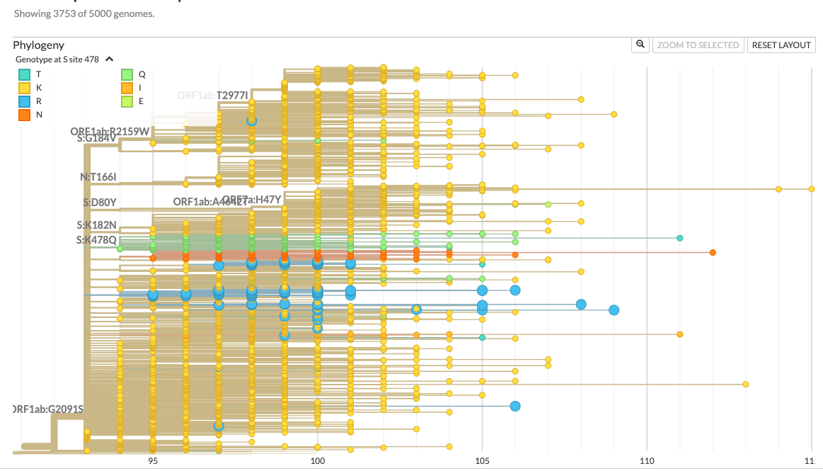 Multiple XBB.2.3 sublineages with S:T478R (A Umbrella*= 72, D=XBB.2.3. ...