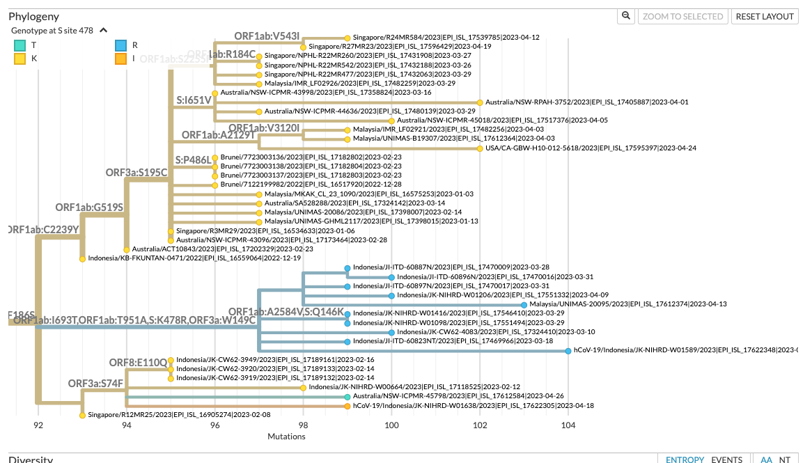 New XBB.1.11.1 branch defined by S:F186S with a saltation sublineage with S:T478R and ORF1a ...