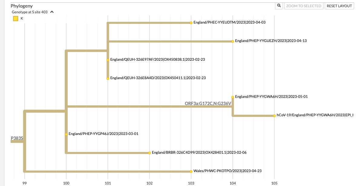 Lineages with S:403K to watch for growth · Issue #1960 · cov-lineages/pango-designation · GitHub