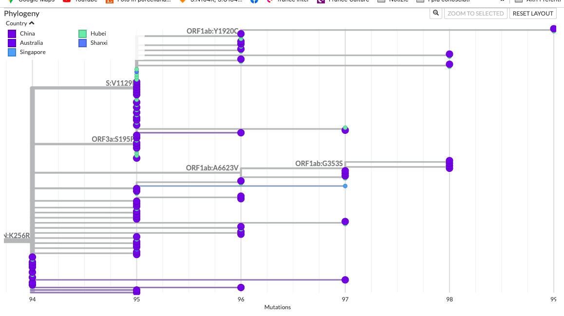Very recent FL.4 + N:K256R sublineage blooming in China (77 seqs on ...