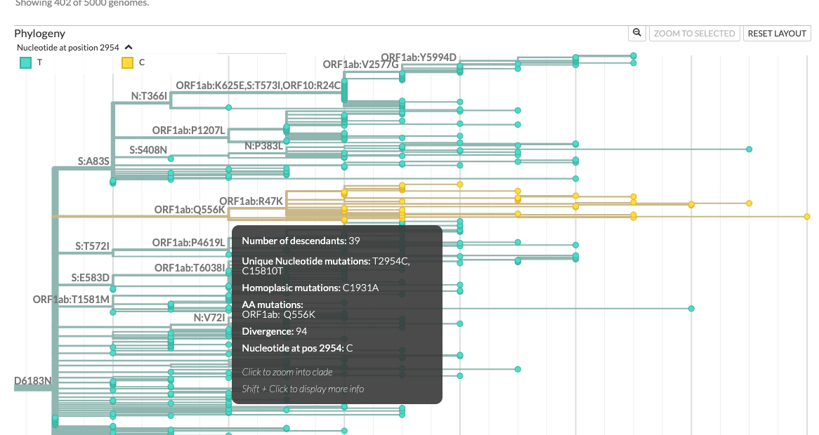 Big FY.1 / BQ.1 recombinant hidden in the FY.1 tree (41 samples) · Issue #123 · sars-cov-2 ...