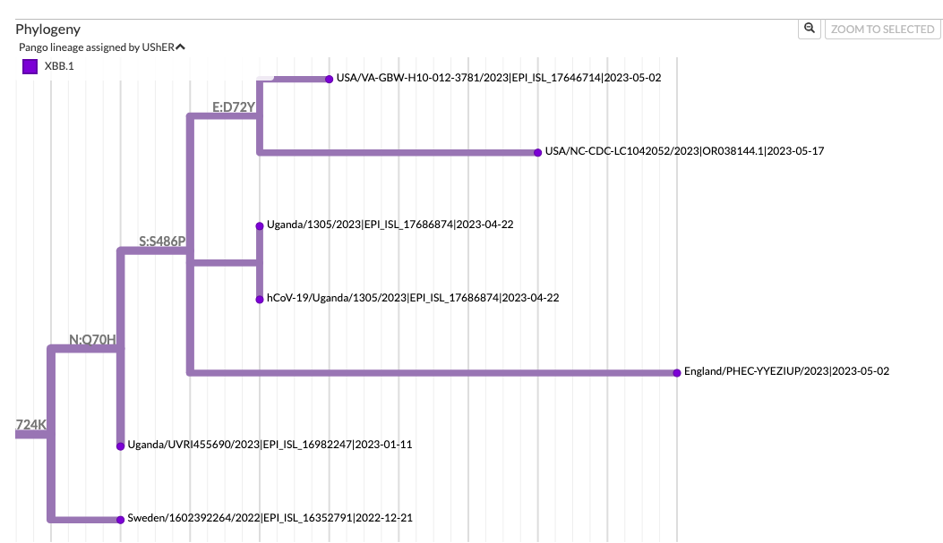 New Ugandese XBB.1 + Orf8:G8*+S:F486P very recent samples also internationally caught (4 seqs ...