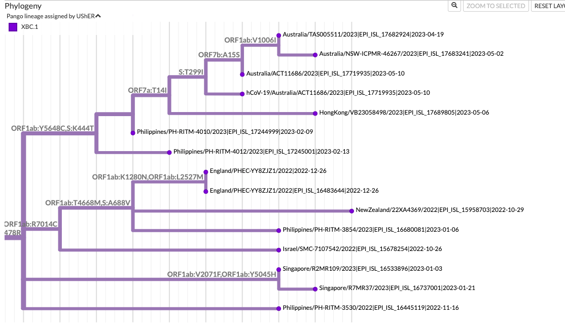 XBC.1 with S:T478R and S:K444T showed up in May after several months ...