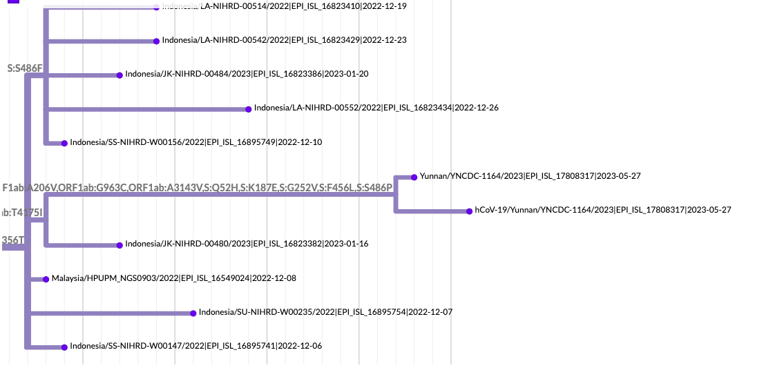 Several Potential Recombinants in China · Issue #108 · sars-cov-2-variants/lineage-proposals ...
