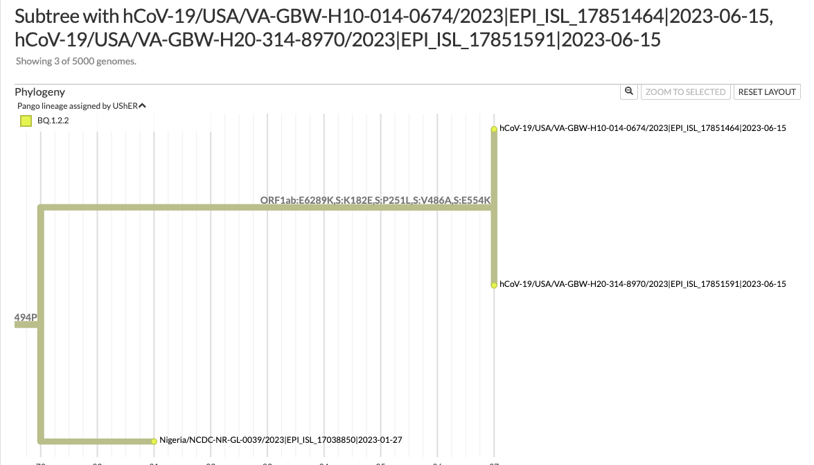BQ.1.2.2 (S:K147E,S:V445A) with 5 further S1 mutations (S:K182E,S:P251L ...