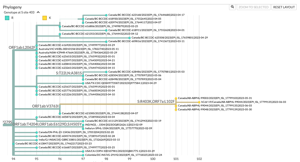 Lineages with S:403K to watch for growth · Issue #1960 · cov-lineages/pango-designation · GitHub