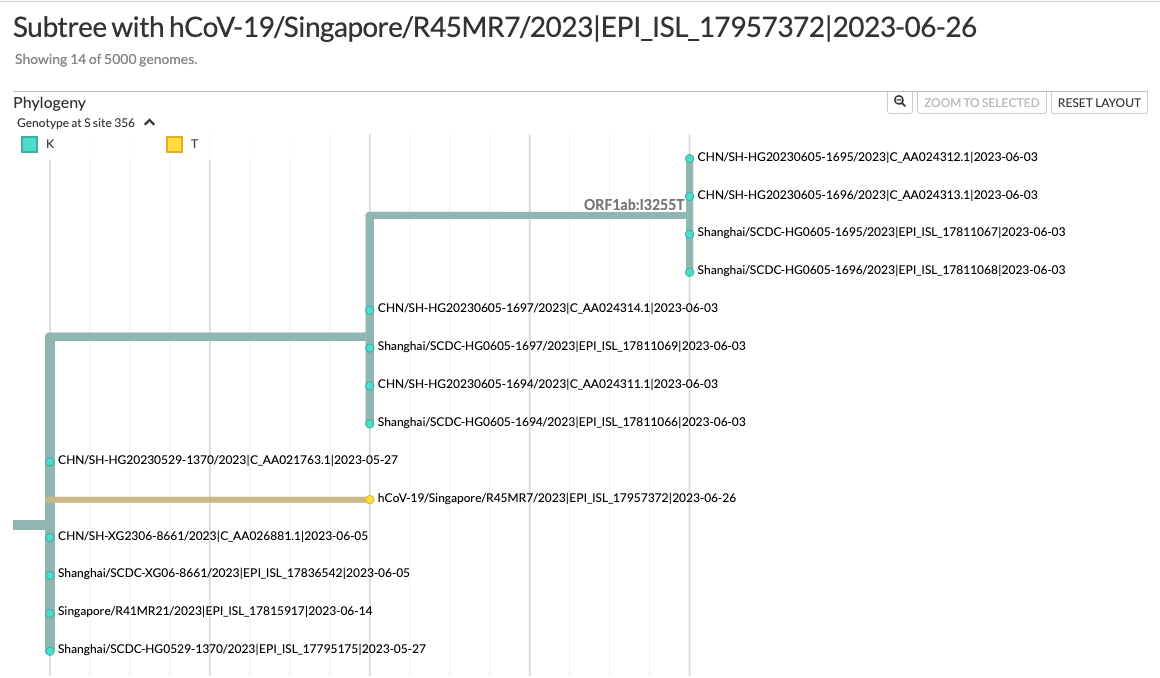 EG.5.1.1 singlet got S:K356T in Singapore (1) · Issue #335 · sars-cov-2-variants/lineage ...