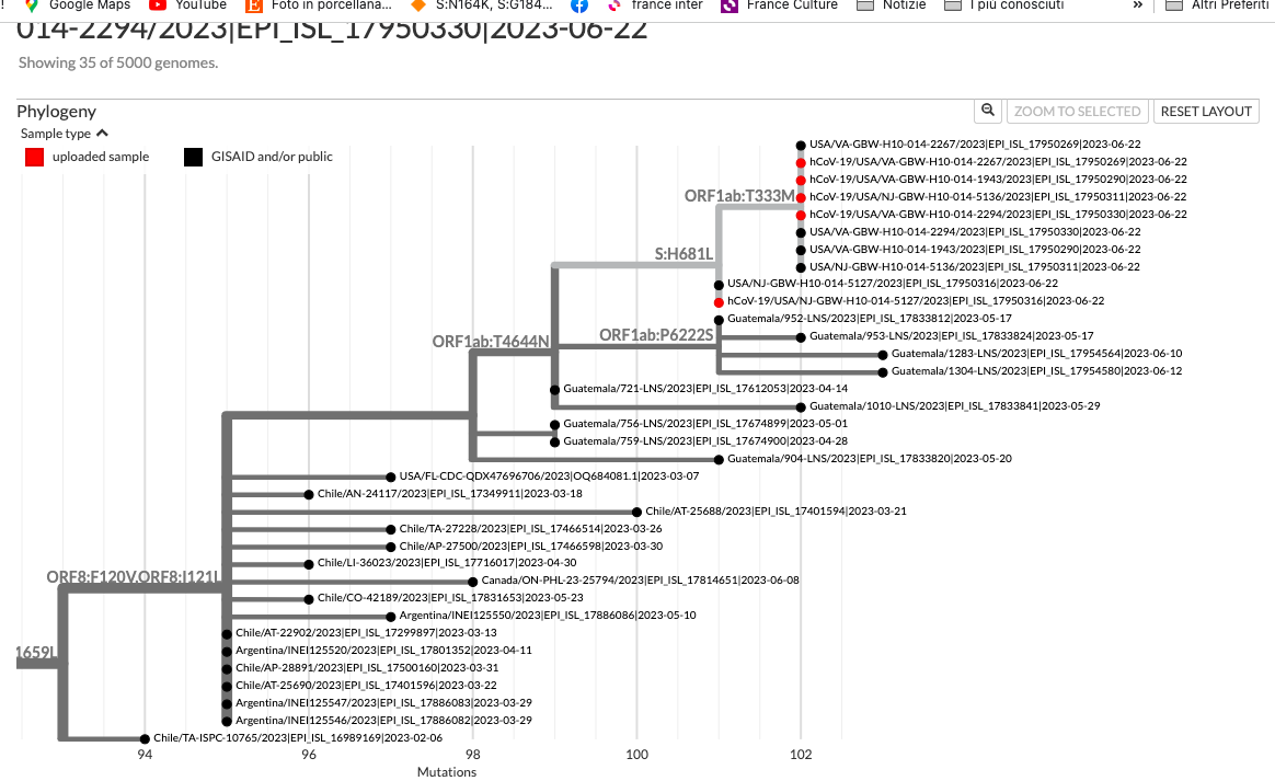 Sublineage of XBB.1.5.77 imported into US from ,likely, South America ...