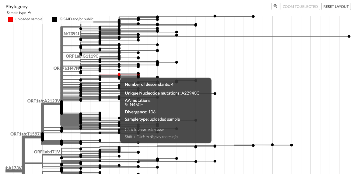 XBC.1.6.3 may have acquired S:N460H in the US (3) · Issue #452 · sars-cov-2-variants/lineage ...
