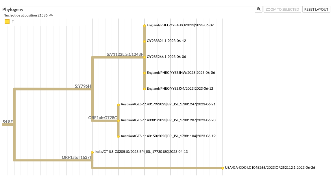 XBB.2.3+Orf1a:A583V,Orf1a:L3829F, S:478R,S:L8F,S:Y796H, S:V1122L,S ...