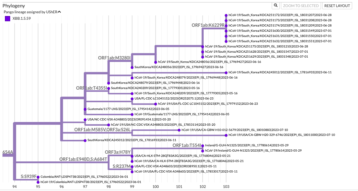 Sibling lineage of XBB.1.5.59 with F456L and Orf1a:T654A spreading in ...