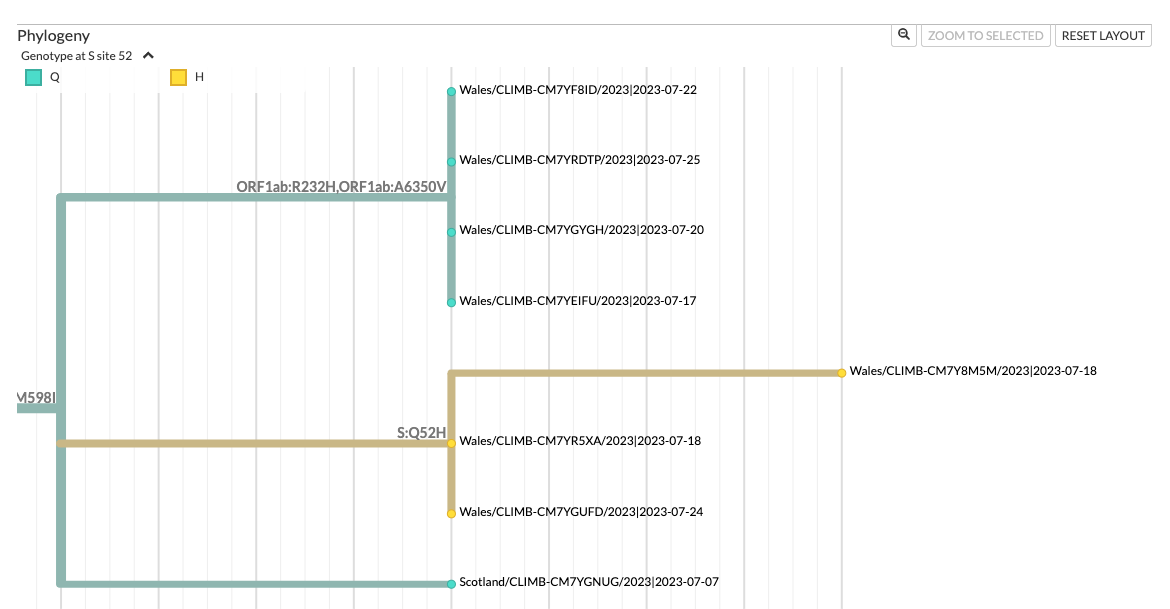 XBB.1.16.15 ( 147N,478R,521S) got S:Q52H in Wales (3) · Issue #569 · sars-cov-2-variants/lineage ...