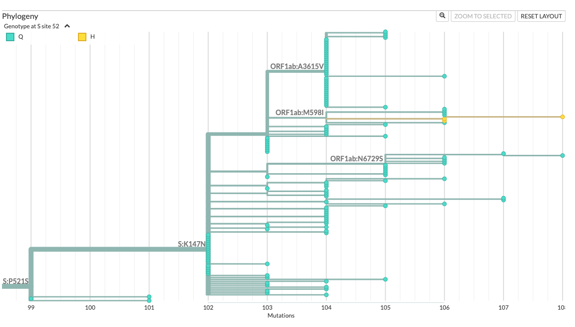 XBB.1.16.15 ( 147N,478R,521S) got S:Q52H in Wales (3) · Issue #569 · sars-cov-2-variants/lineage ...