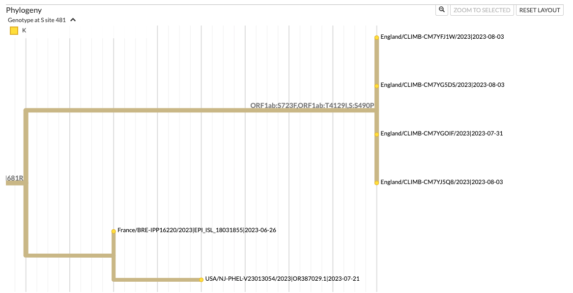 NEW FL.1.5 (S:F456L) sublineage with S:481K, S:681R (7) popped up in Uk with a sublineage with S ...