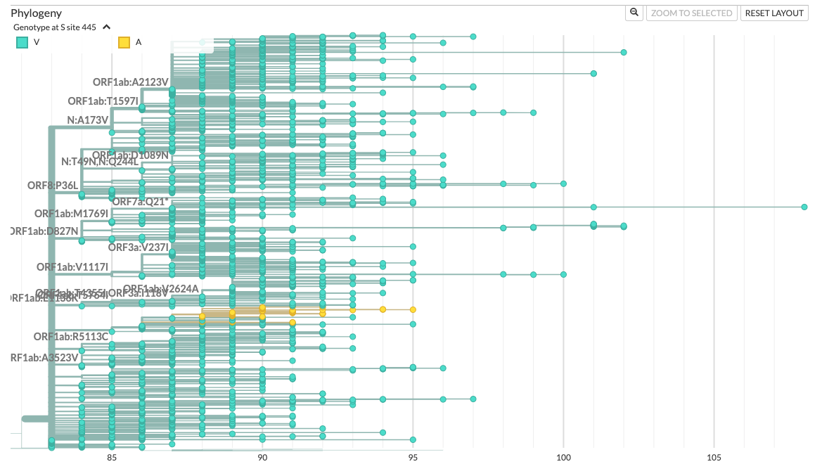 XBC.1.6 sublineage with S:V445A circulating in South Australia (42) - 3% of prevalence in August ...