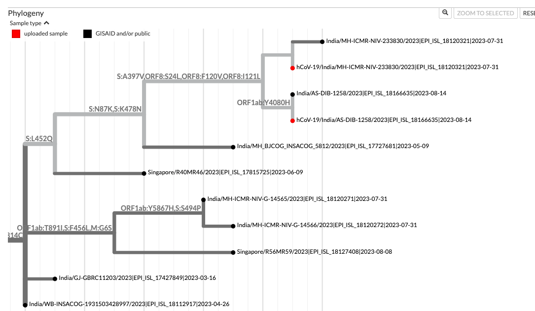 Quadri spike mutant XBB.2.3.3 ( S:87K/397V/452Q/478N)with orf8 mutations popped up in India (3 ...
