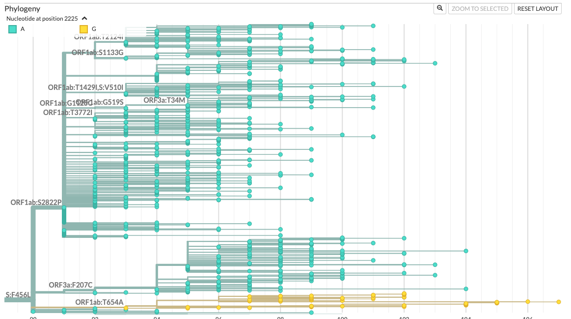 Sibling lineage of XBB.1.5.59 with F456L and Orf1a:T654A spreading in ...
