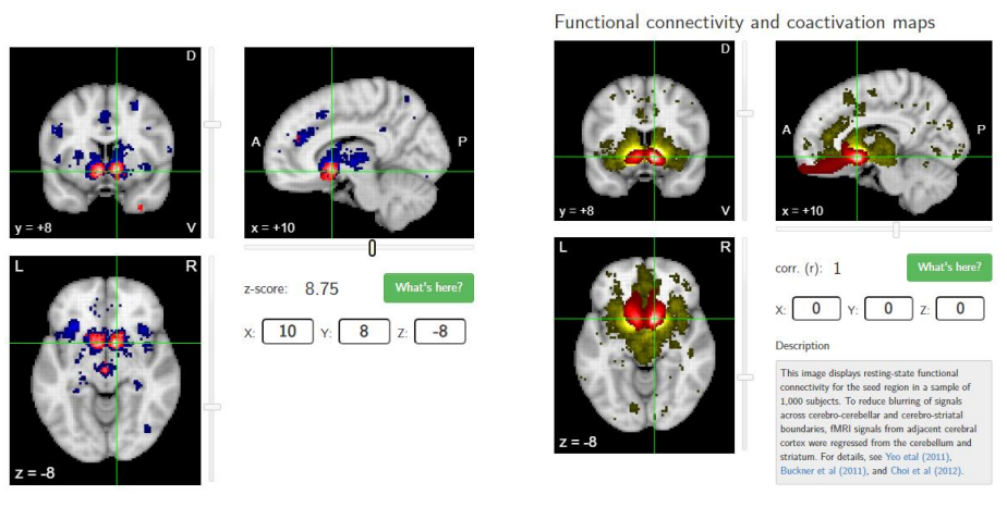 GitHub - petermartens98/NeuroSynth-Cognitive-fMRI-Analysis: In this ...
