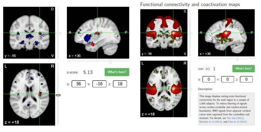GitHub - petermartens98/NeuroSynth-Cognitive-fMRI-Analysis: In this ...