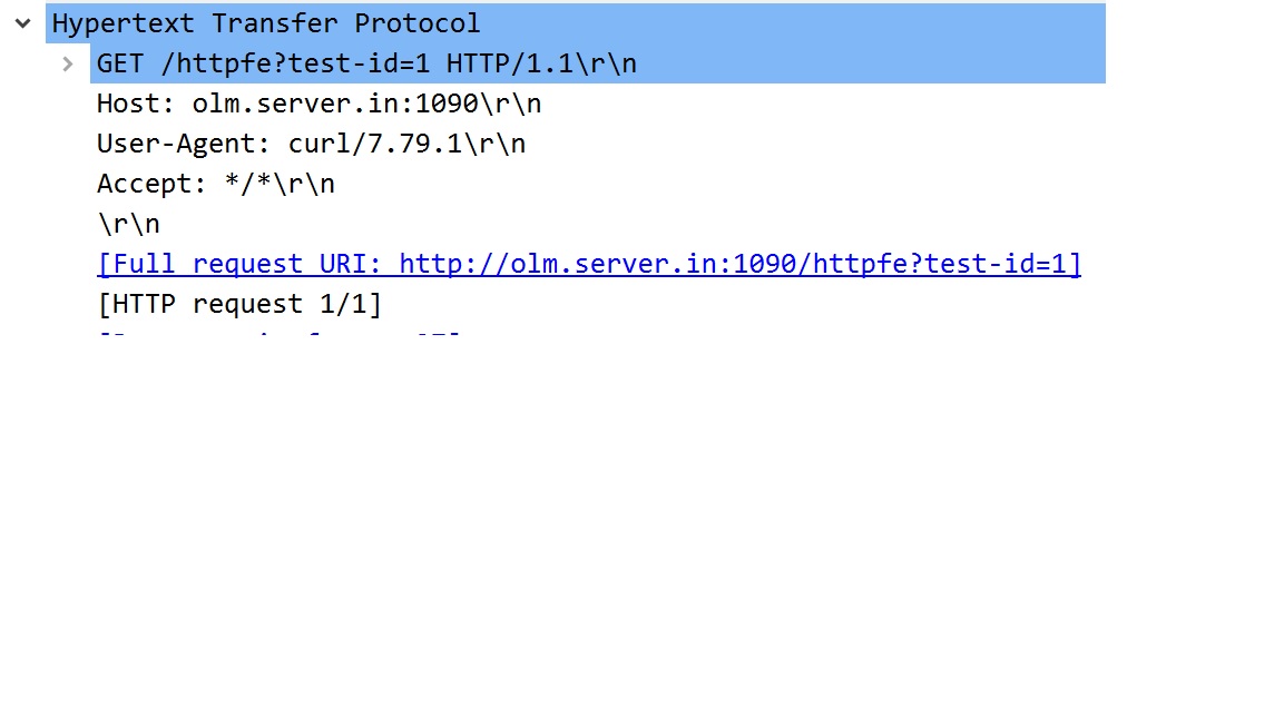 Host Headerhostport In V1 Is Not Received In The Backend Service Through Envoy · Issue 