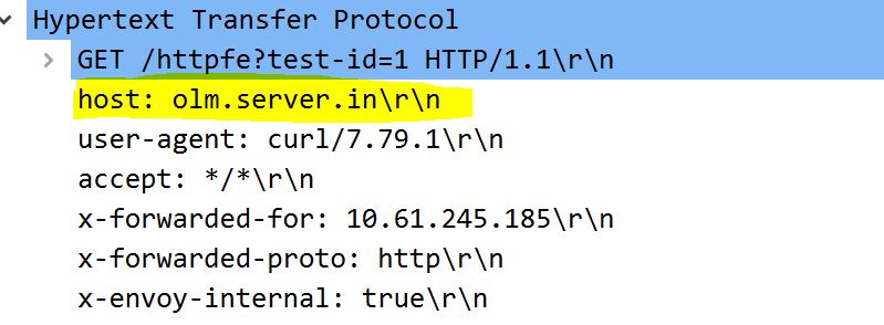 Host header(host:port) in http v1 is not received in the backend service through Envoy. · Issue ...