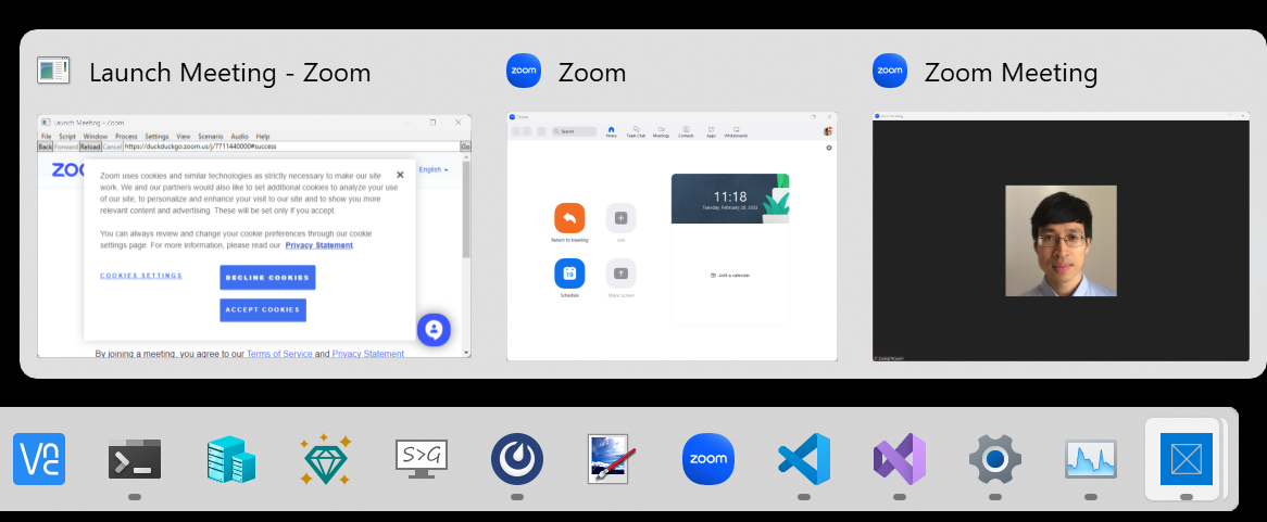 External applications started from WebView2 (like Zoom) are displayed ...