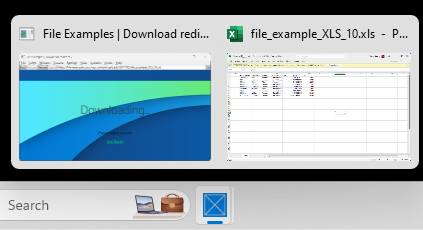 External applications started from WebView2 (like Zoom) are displayed under WebView2 icon group ...