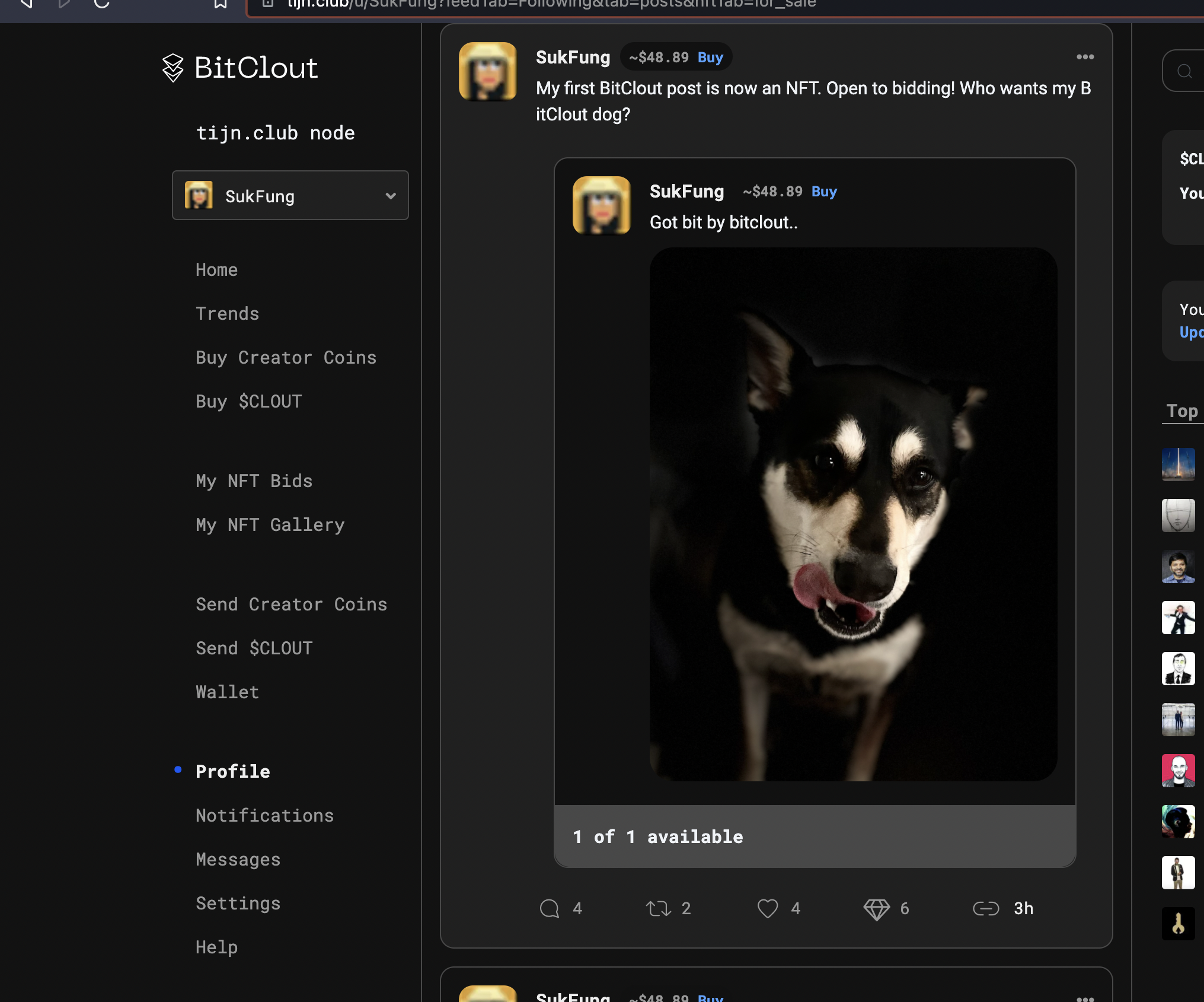 Minted NFT not accepting bids and now showing up on profile tab · Issue #90 · deso-protocol ...
