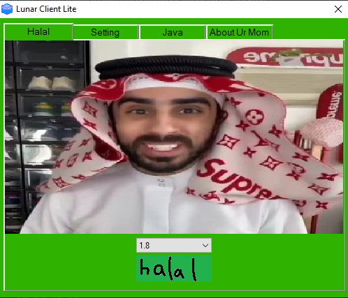 GitHub - ProMaster420/Lunar-Client-Lite-Halal-Edition