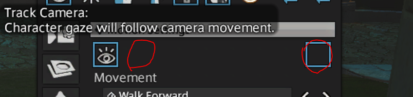 Missing "Track Camera" and "Loop Motion" icons · Issue #246 · skotlex ...