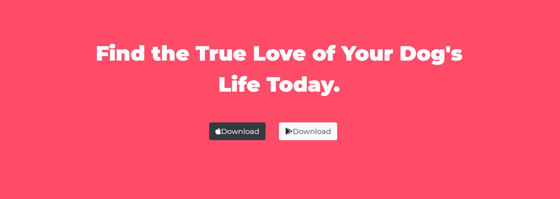 GitHub - sushree-05/TinDog-Start-master: Online Shop project is a web application which is ...