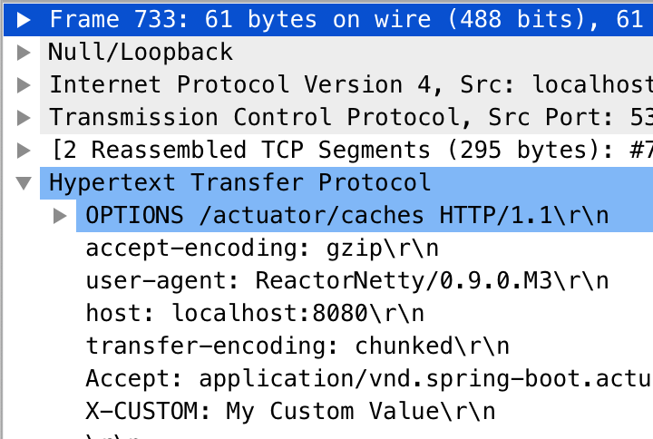 Headers Specified In Headersprovider Are Not Used For Probe Requests · Issue 1254